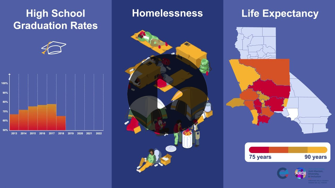 Introducing our Animated Guide to the Countywide Racial Equity ...